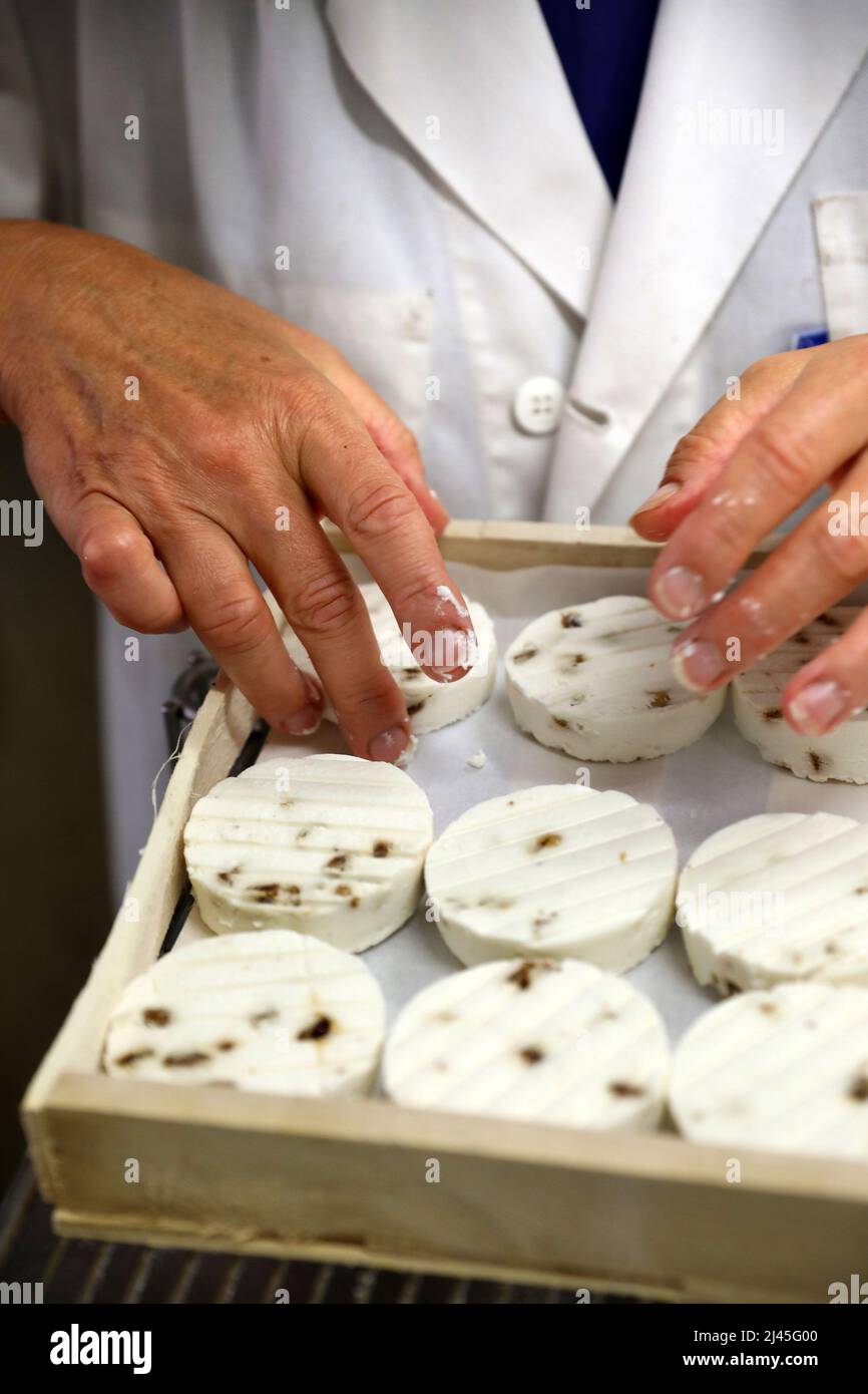 Rocamadour PDO cheese: Cabecou, unpasteurized goatÕs cheese made on a ...