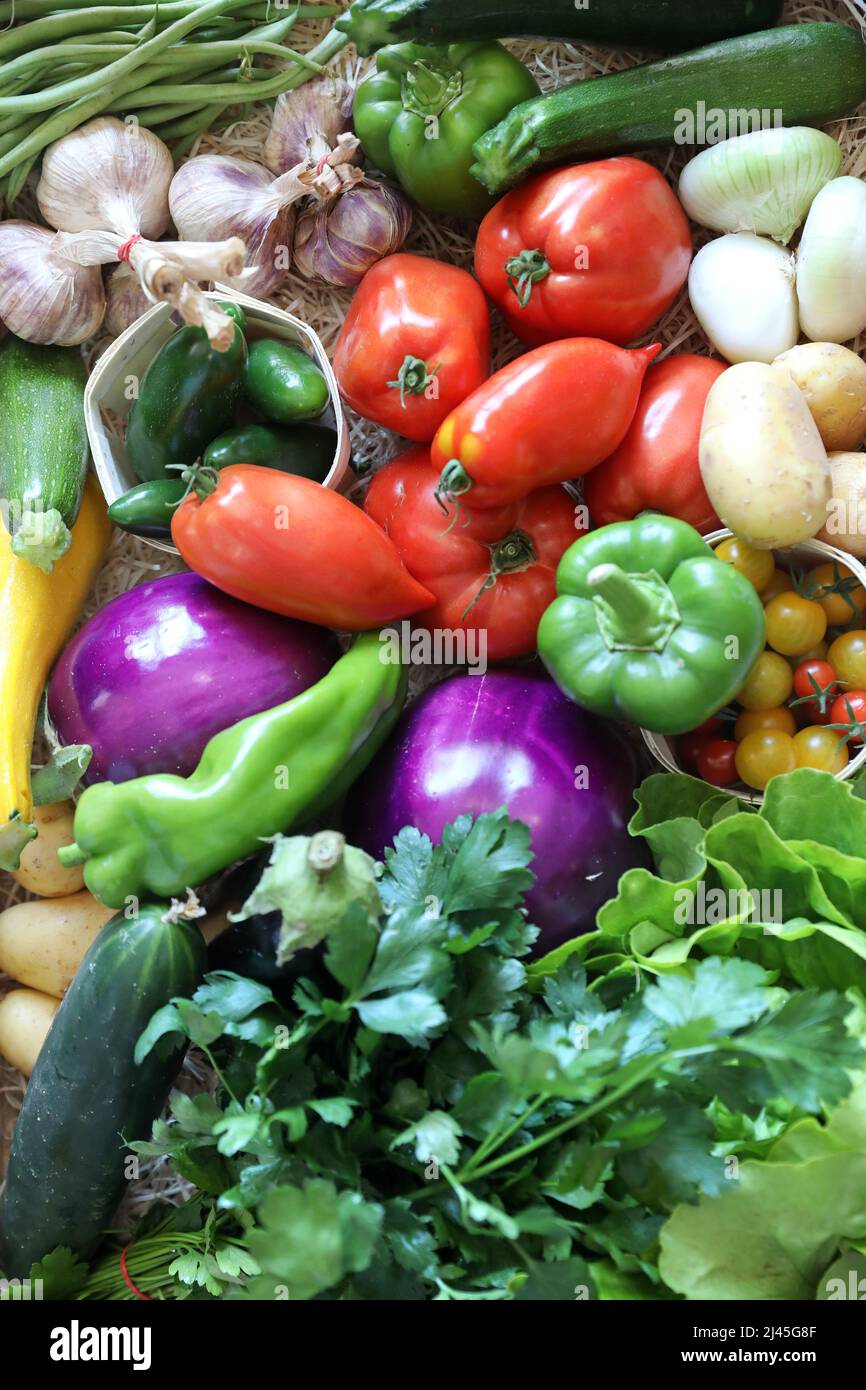 Summer vegetables in a producer’s cooperative shop, local distribution ...