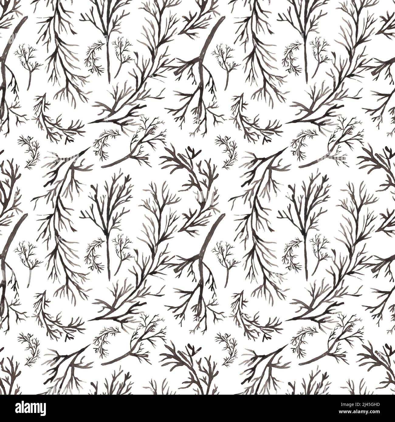 Scrapbook Backgrounds Black And White