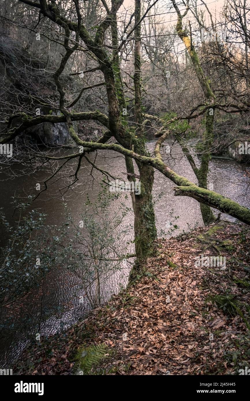 A water filled granite quarry in the historic Kennall Vale nature ...