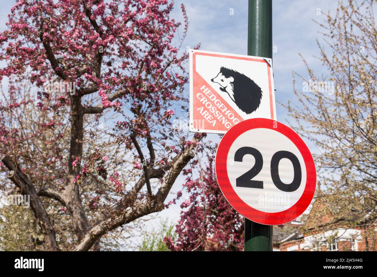 Hedgehog Crossing Area and 20 mph speed limit road sign on a suburban ...
