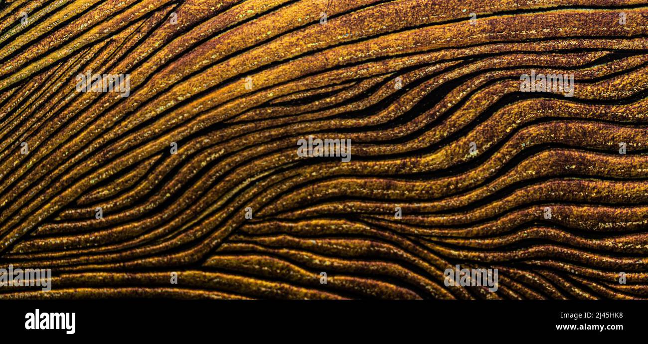 Abstract background gold color wall luxury. High quality photo Stock ...