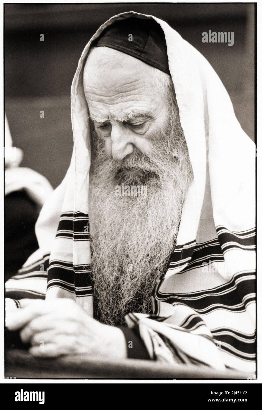 An orthodox jewish man, likely a rabbi, reads from his prayer book ...