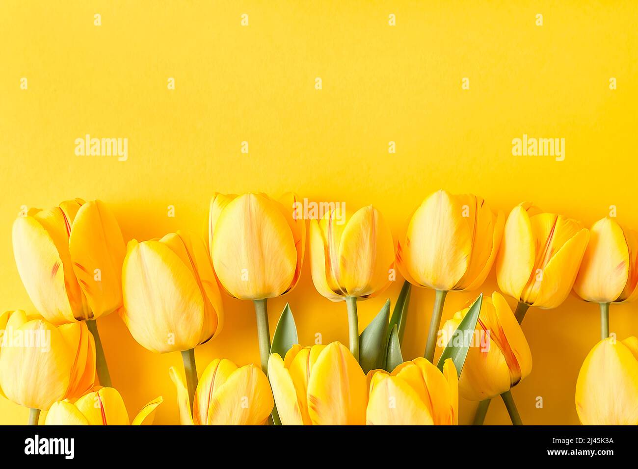 Congratulations with flower hi-res stock photography and images - Alamy