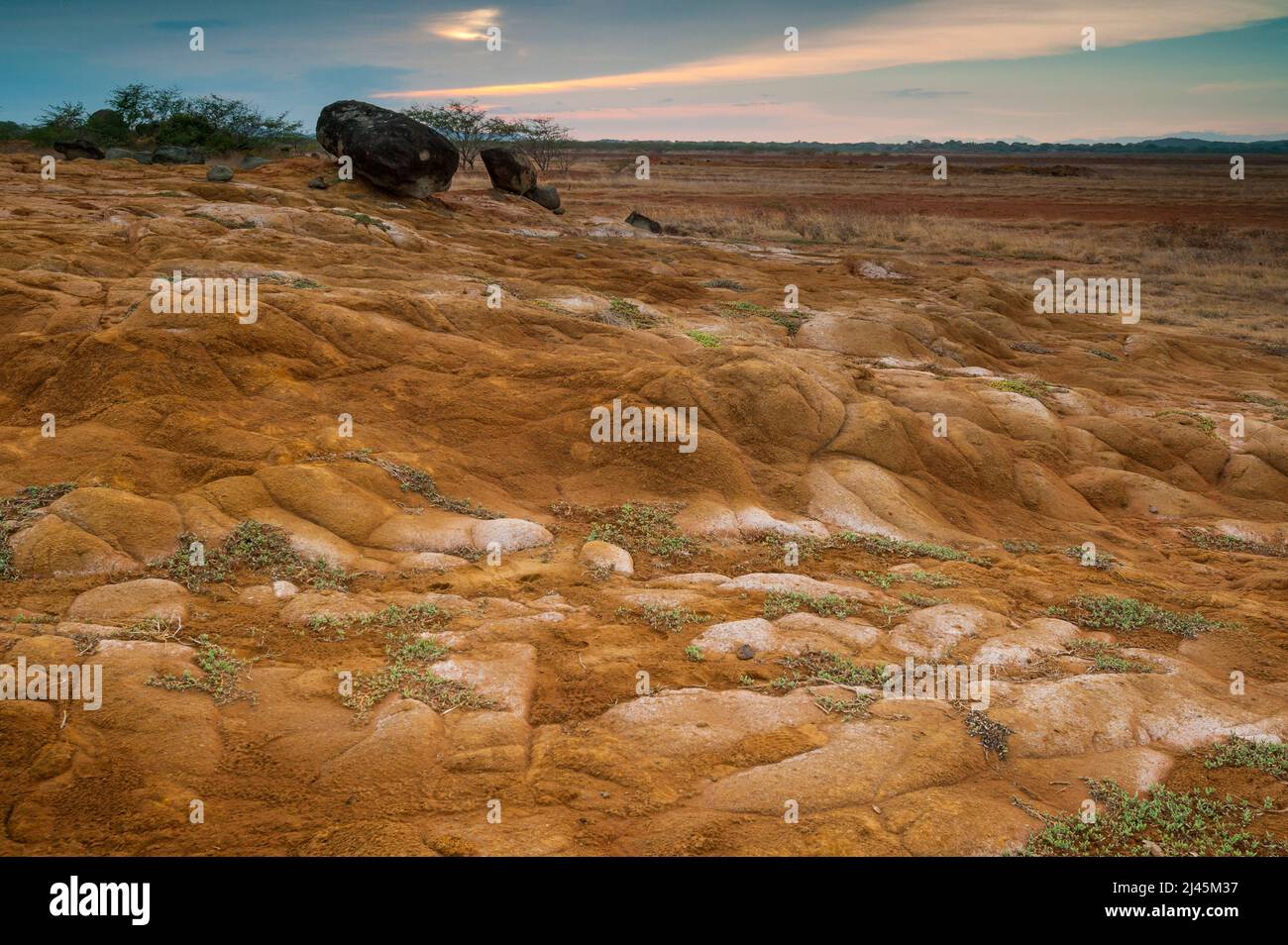 Panama desert landscape at sunset in Sarigua national park, Herrera ...