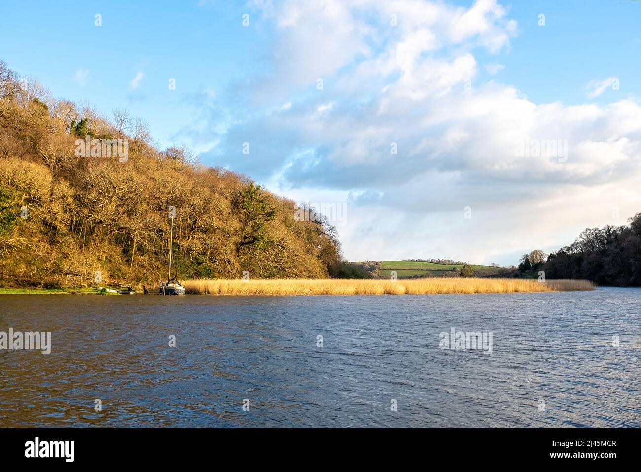 Tamar tidal estuary hi-res stock photography and images - Alamy