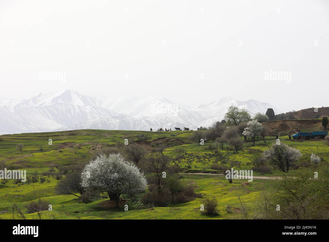 Tashkent. 10th Apr, 2022. Photo taken on April 10, 2022 shows the ...