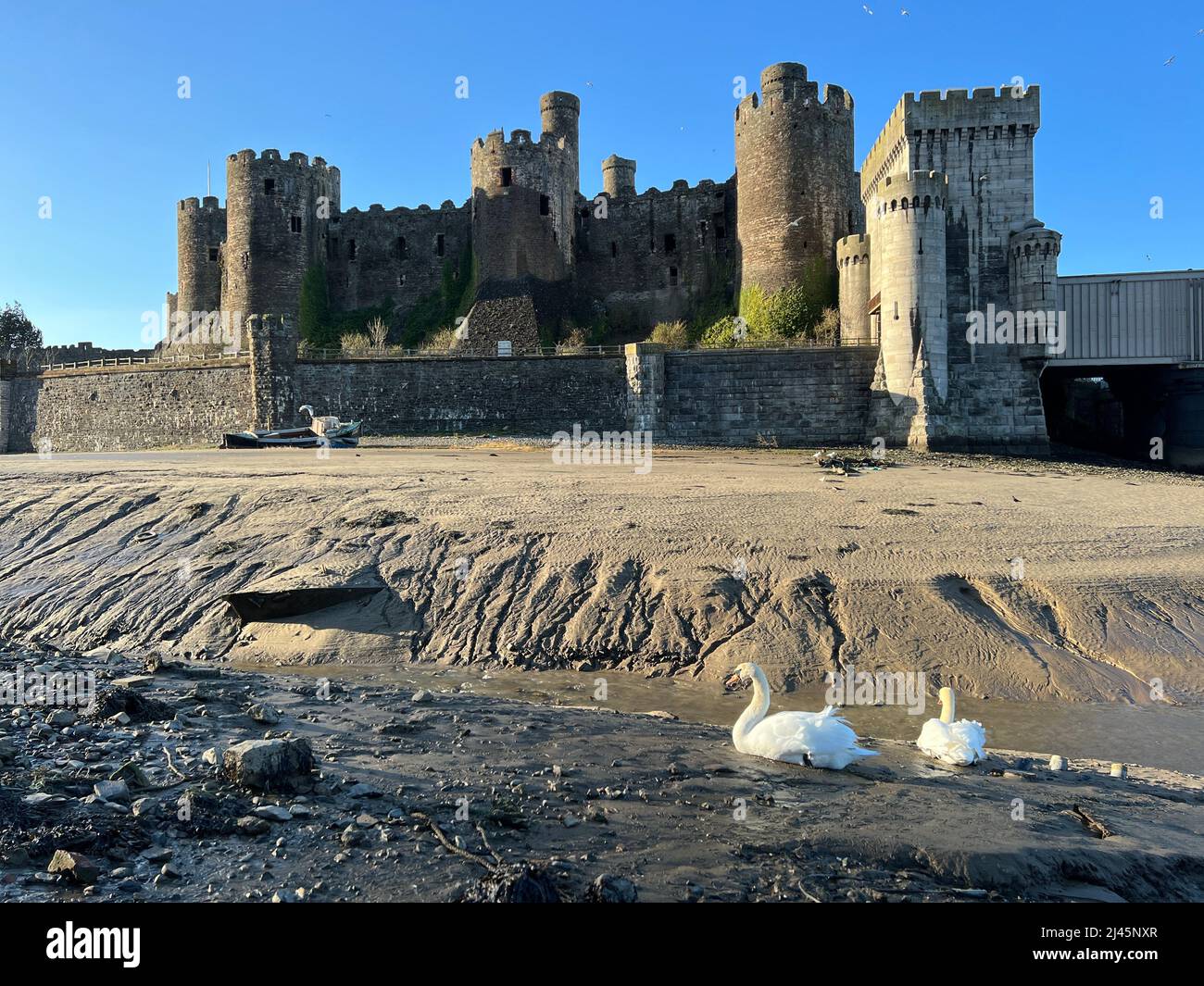 Historical architecture conwy hi-res stock photography and images - Alamy