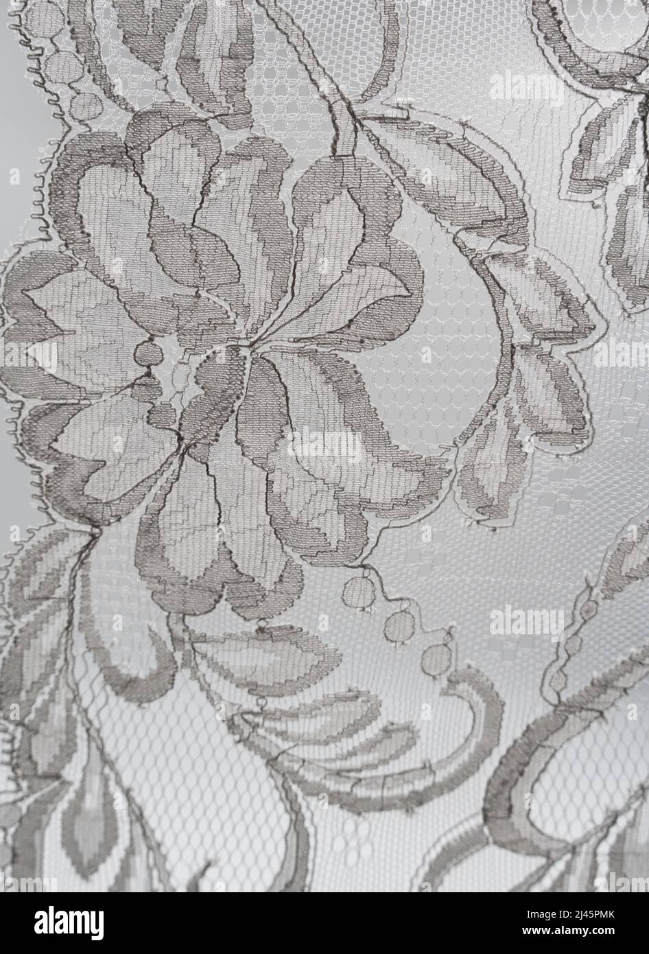 Vertical seamless lace on a white background Stock Photo - Alamy
