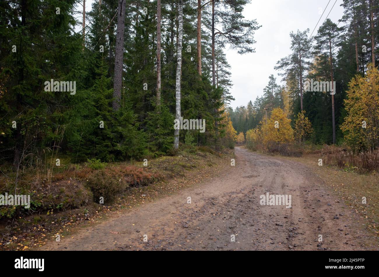 Dark road landscape hi-res stock photography and images - Alamy