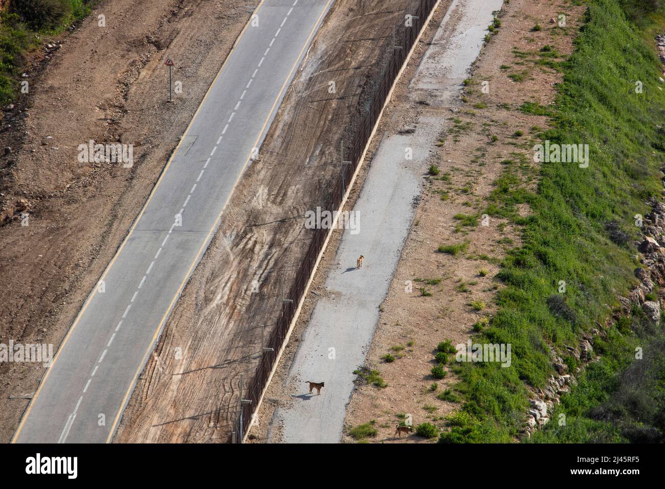 Bat hefer hi-res stock photography and images - Alamy