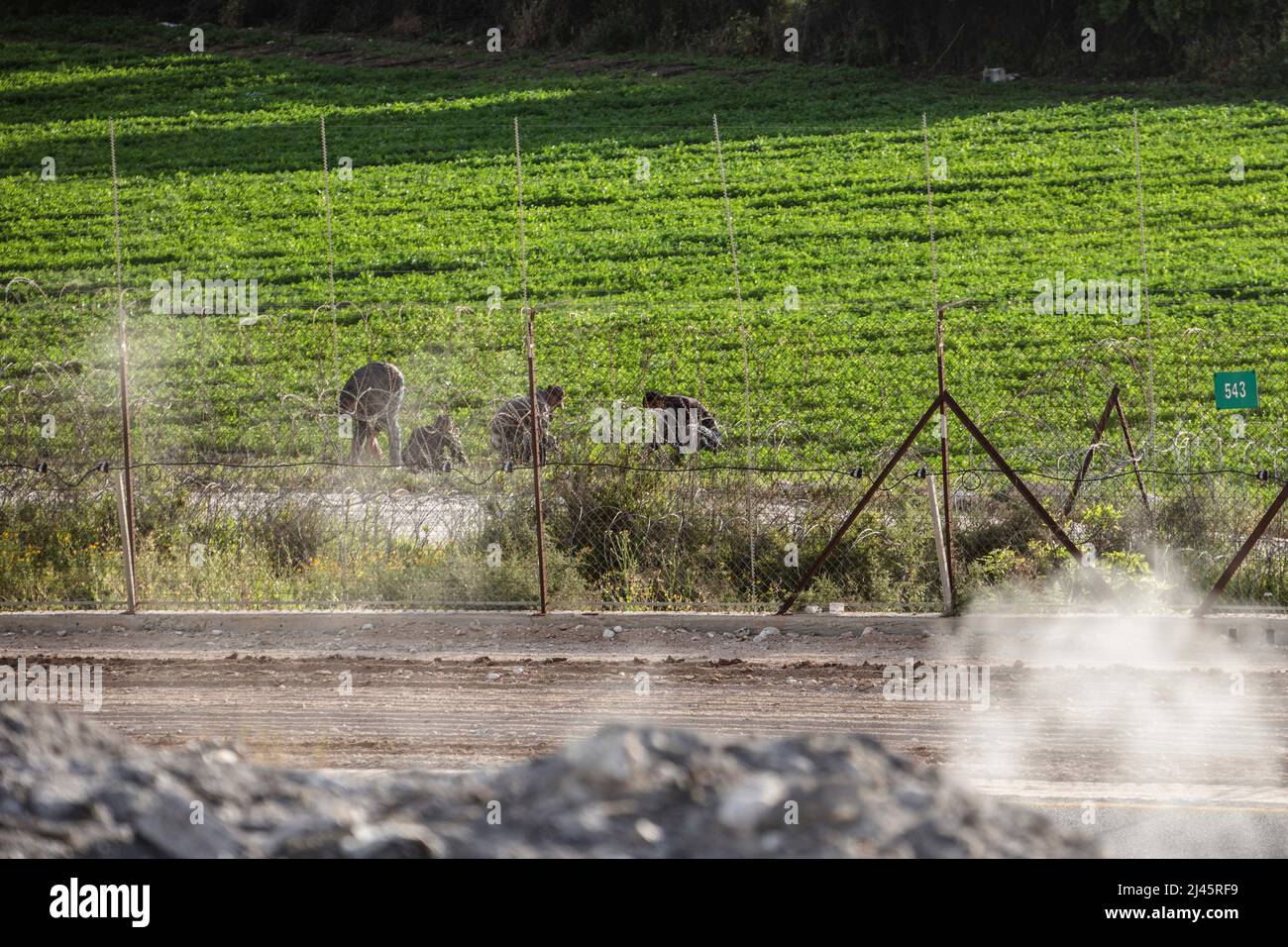 Bat hefer hi-res stock photography and images - Alamy