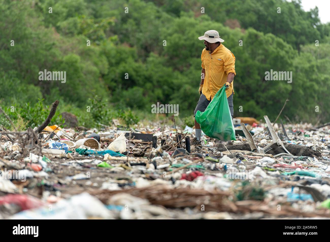 Man picks up plastic garbage on beach in the morning, Panama, Central ...