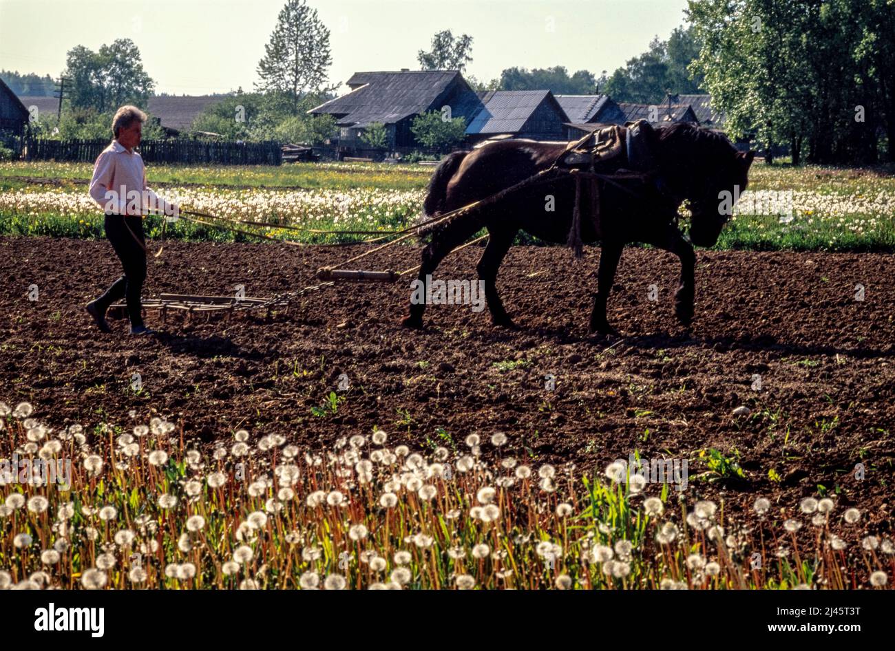 Russian farmer hi-res stock photography and images - Alamy