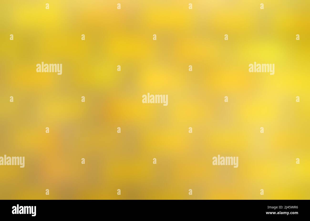 Tuscan sun honey hi-res stock photography and images - Alamy