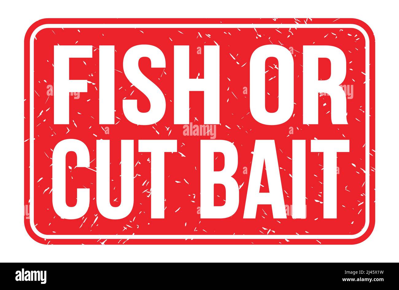 FISH OR CUT BAIT, words written on red rectangle stamp sign Stock Photo ...