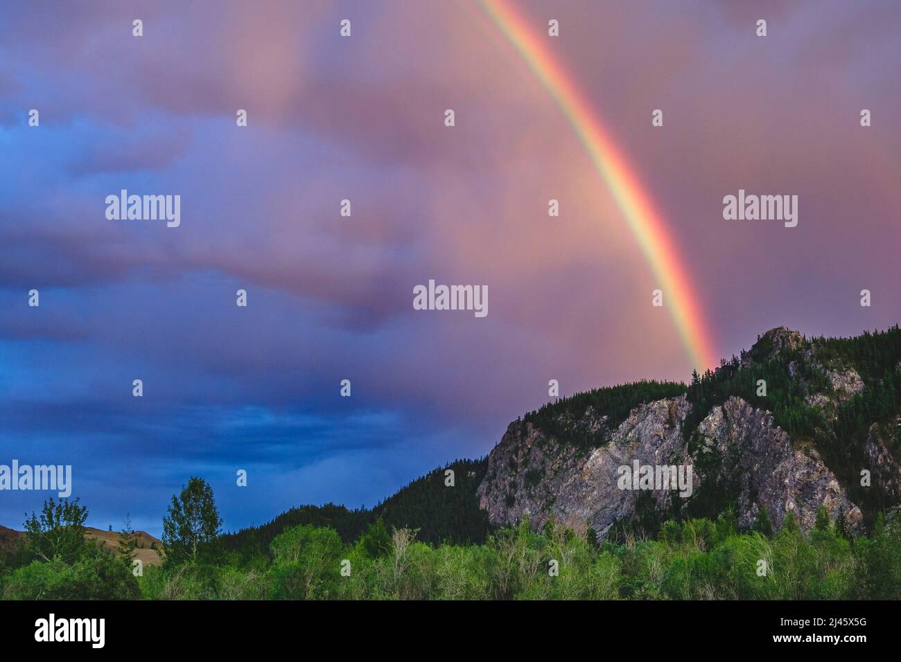 An impressive rainbow over a mountain range in Kuray steppe of Altai ...