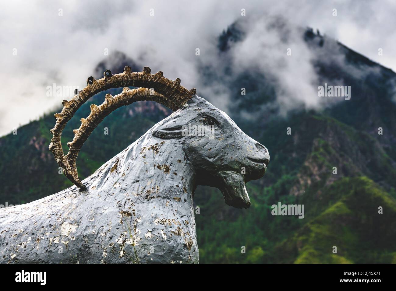 Statue of a mountain goat on the background of mountain range in the ...