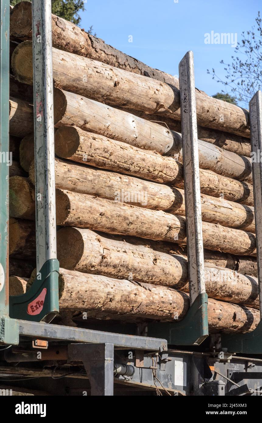 Stack of felled trees on a trailer ready for transportation Stock Photo ...