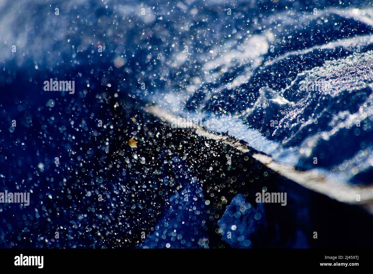 Snow flying in the backlight Stock Photo - Alamy