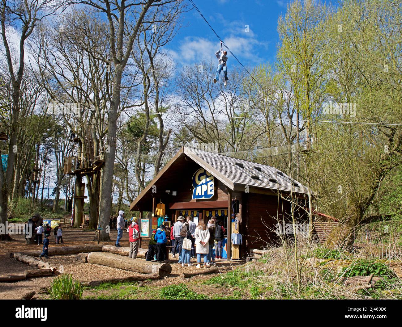 Tree top challenge hi-res stock photography and images - Alamy