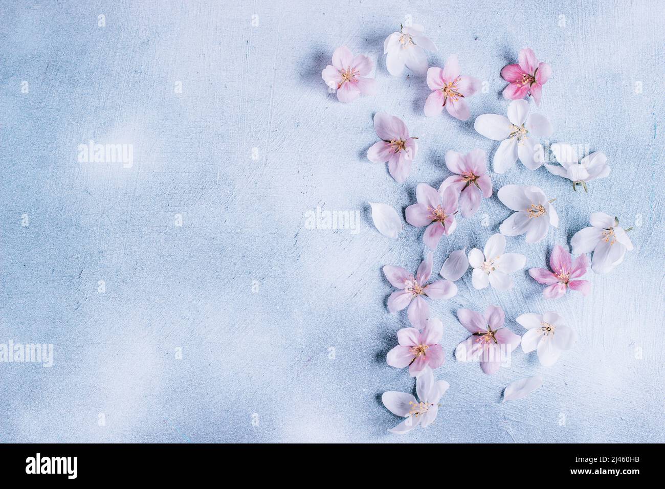 Floral spring blooming background pastel toned Stock Photo - Alamy