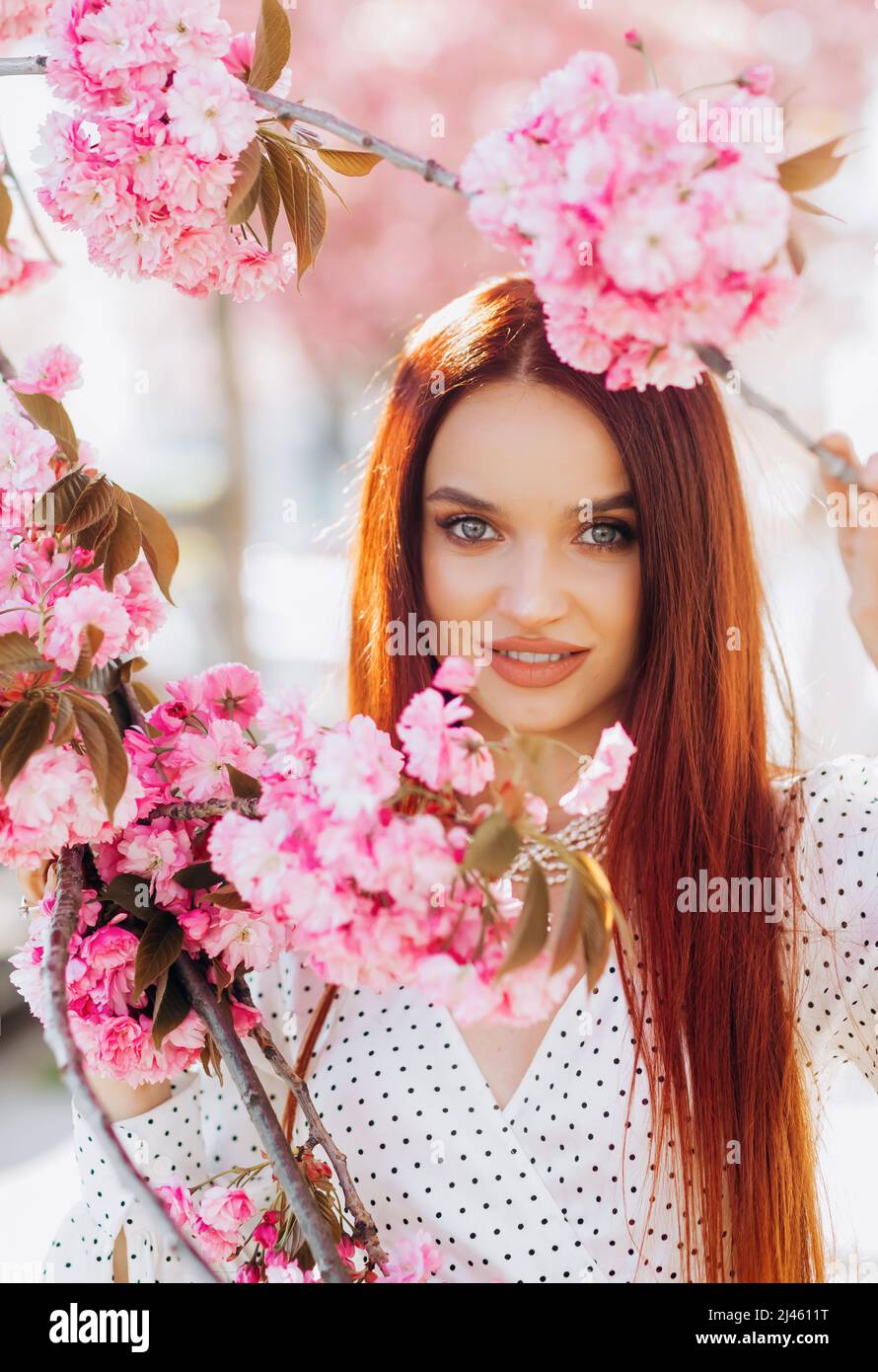 Portrait of elegant serious woman between blossoming sakura trees Stock ...