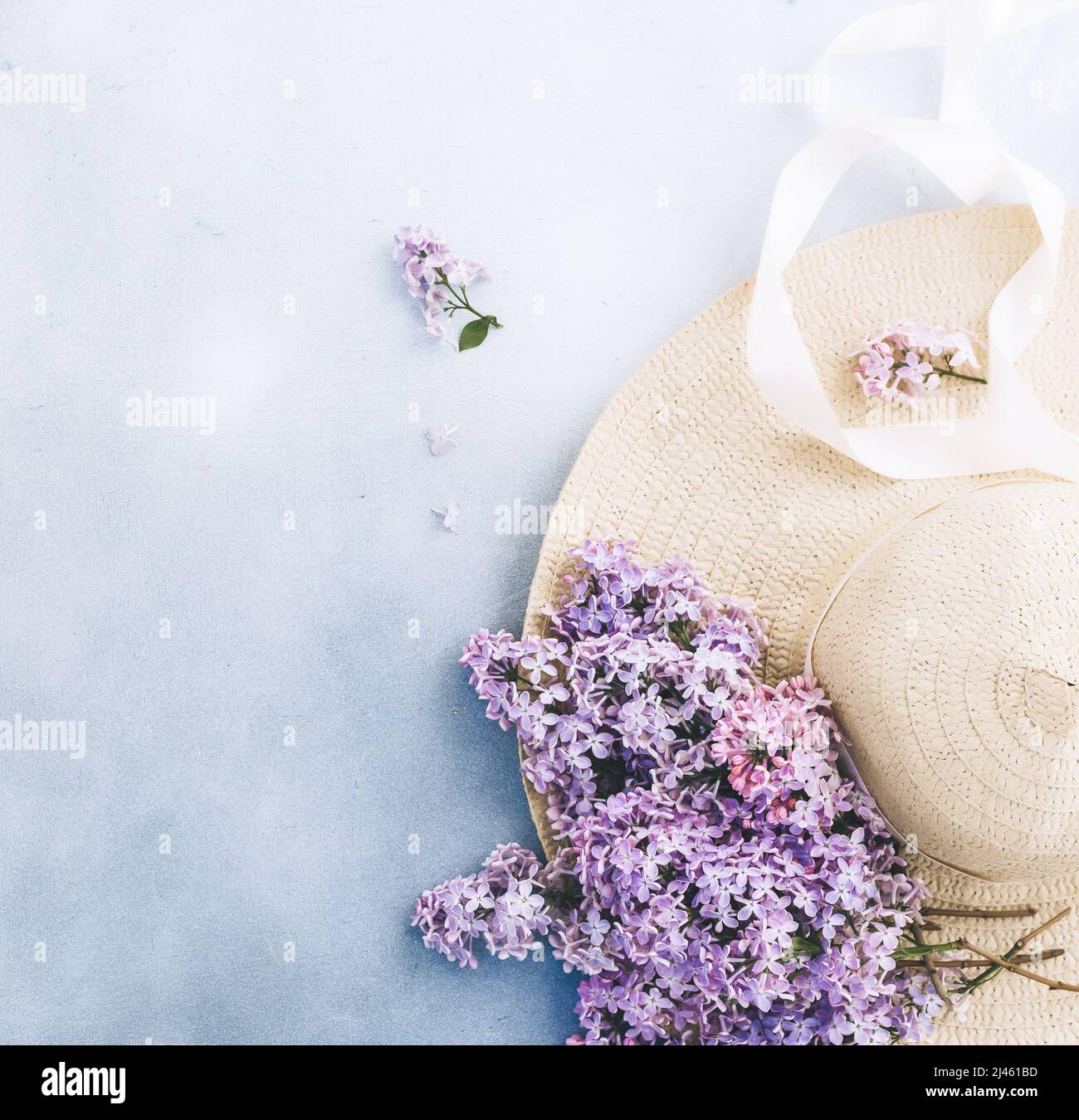 Women`s summer hat with a ribbon and a bouquet of lilac flowers on a ...