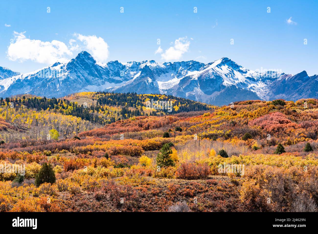Yellowuncompahgre hi-res stock photography and images - Alamy