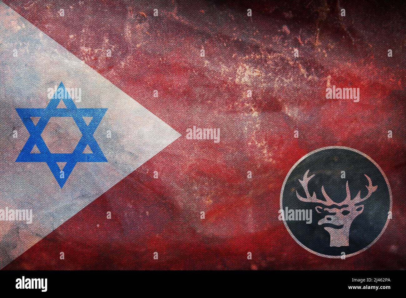 Top view of flag IDF Northern Command, Israel. retro flag with grunge ...