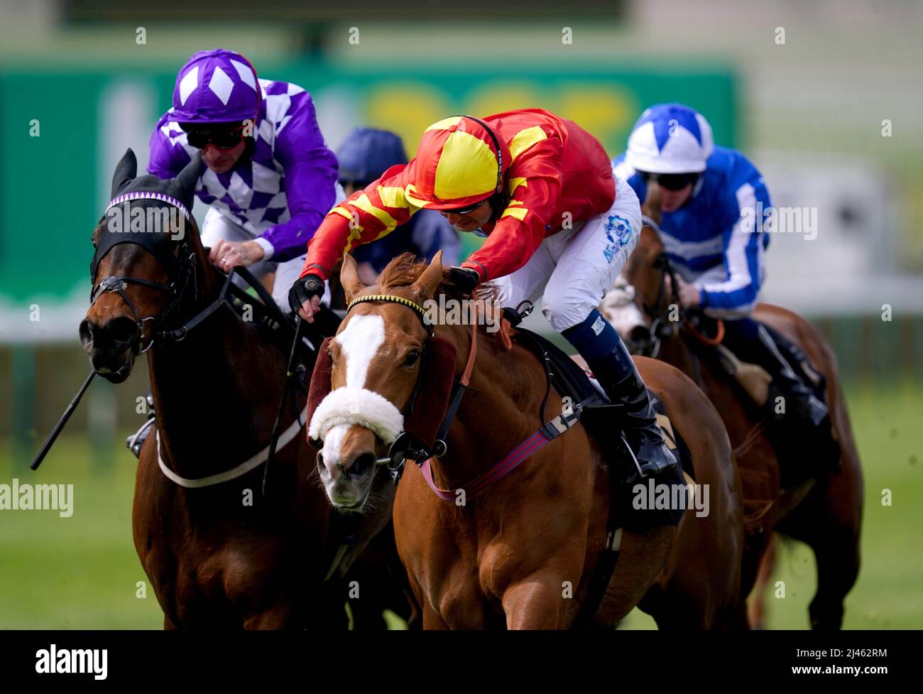 Gale force maya hi-res stock photography and images - Alamy
