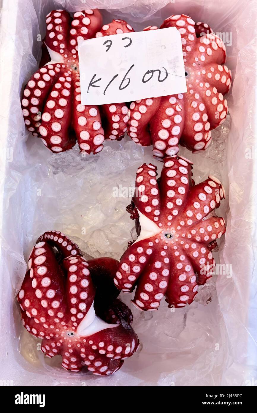 Japan. Tokyo. The Fish Market. Octopus Stock Photo - Alamy