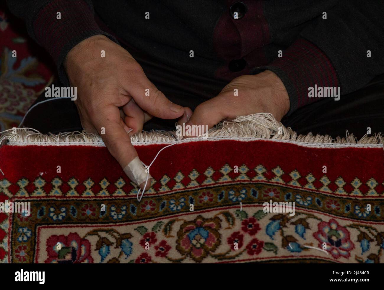 Carpet and model Stock Photo - Alamy