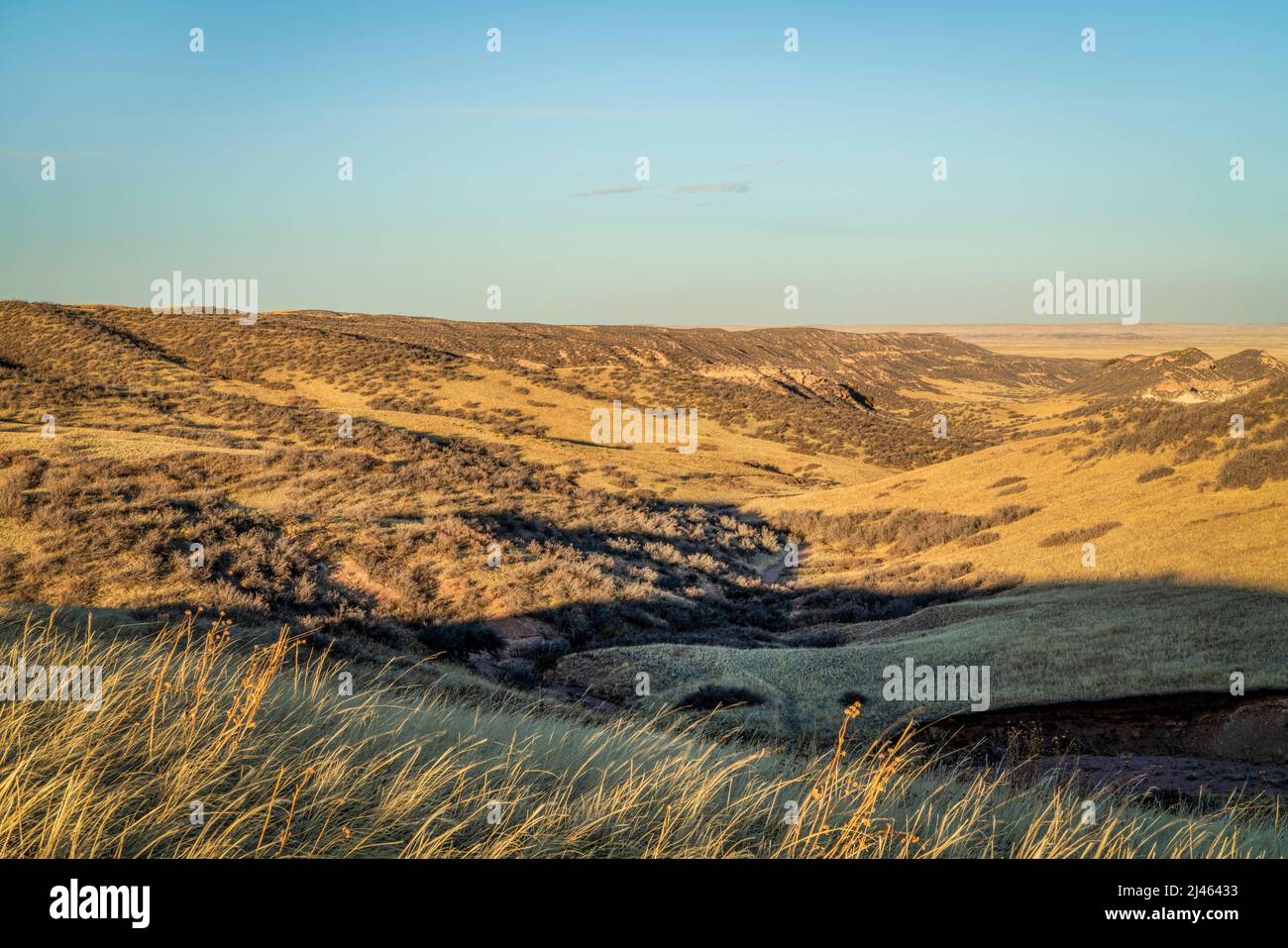 grassland valley in northern Colorado, early spring scenery of ...