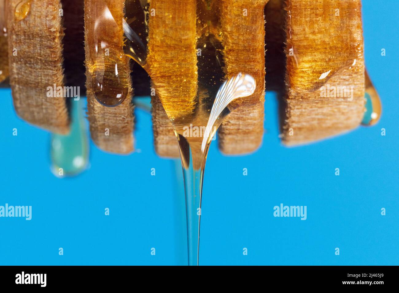Dripping honey from a wooden spoon close-up macro. Blue background ...