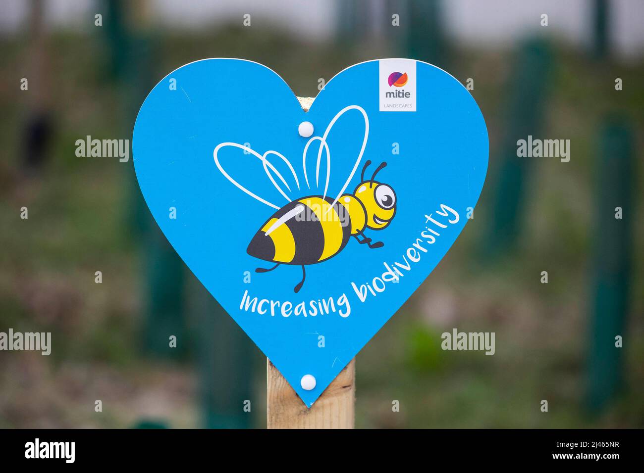 Salad 2022 hi-res stock photography and images - Alamy