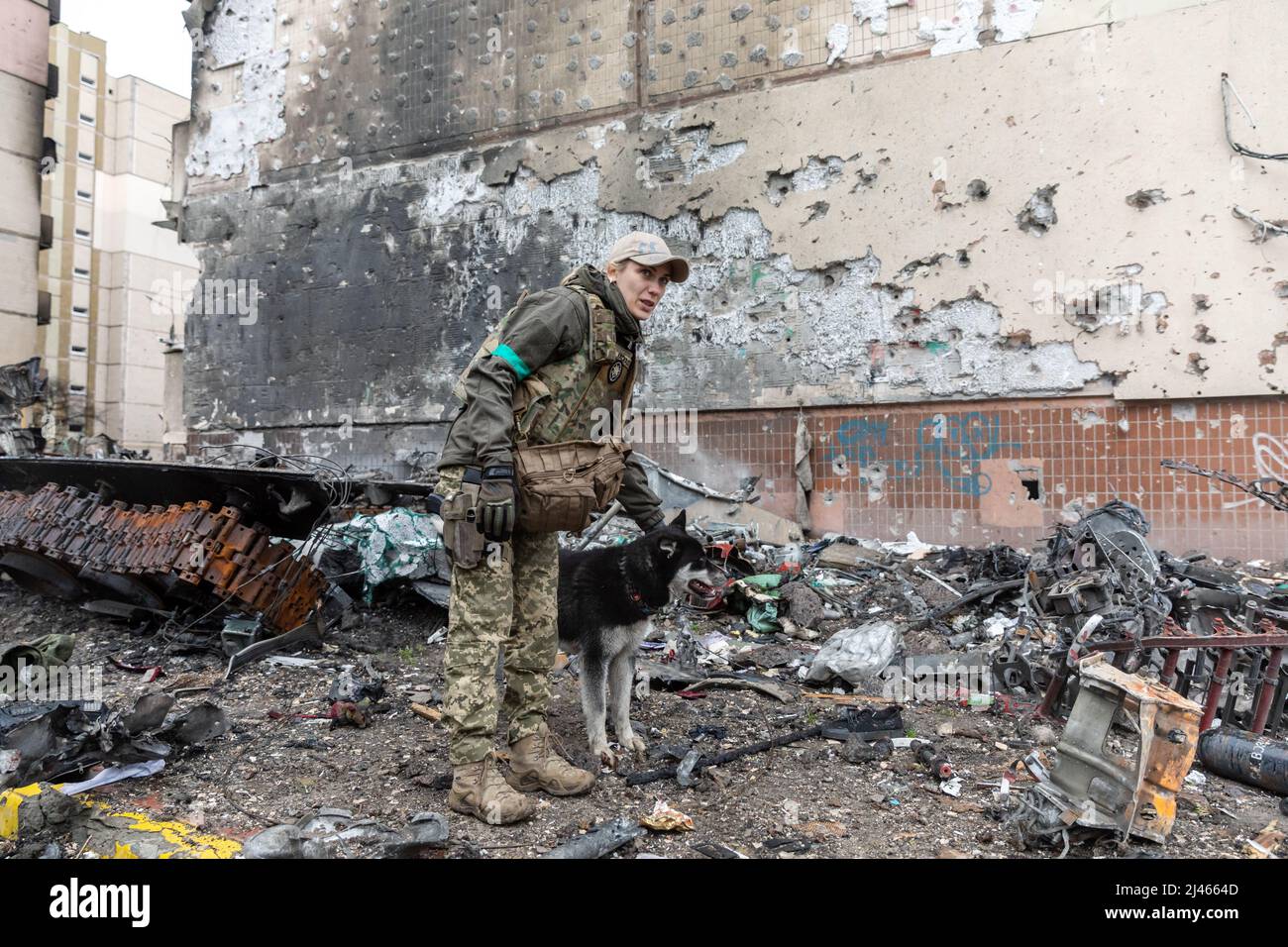 Military dog usa rubble hi-res stock photography and images - Alamy
