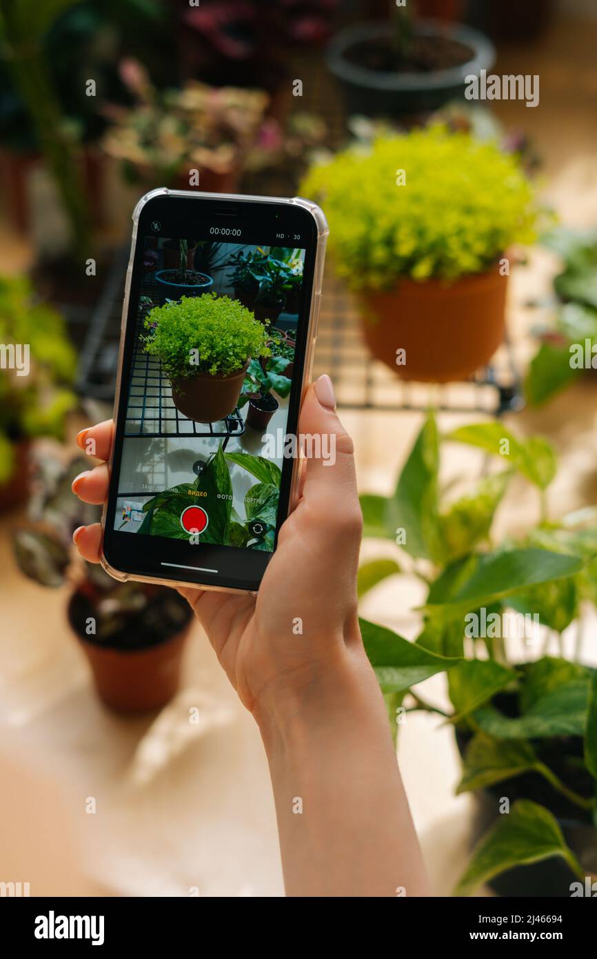 Close-up vertical shot of unrecognizable female blogger taking pictures ...