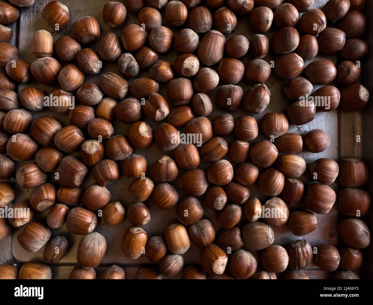 Photo of hazelnuts on a tray on table. Hazelnut nut health organic ...