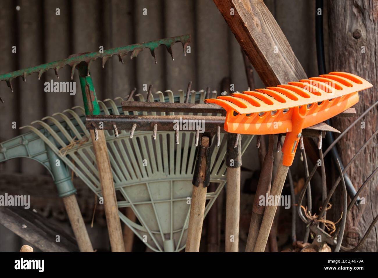 Wooden rake and metal rake. Cleaning up the grass with a rake Stock ...