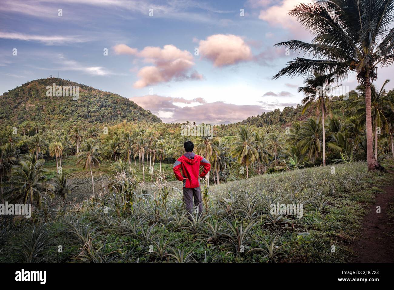 Planning to hike that mountain at Calauan, Laguna, Philippines Stock ...