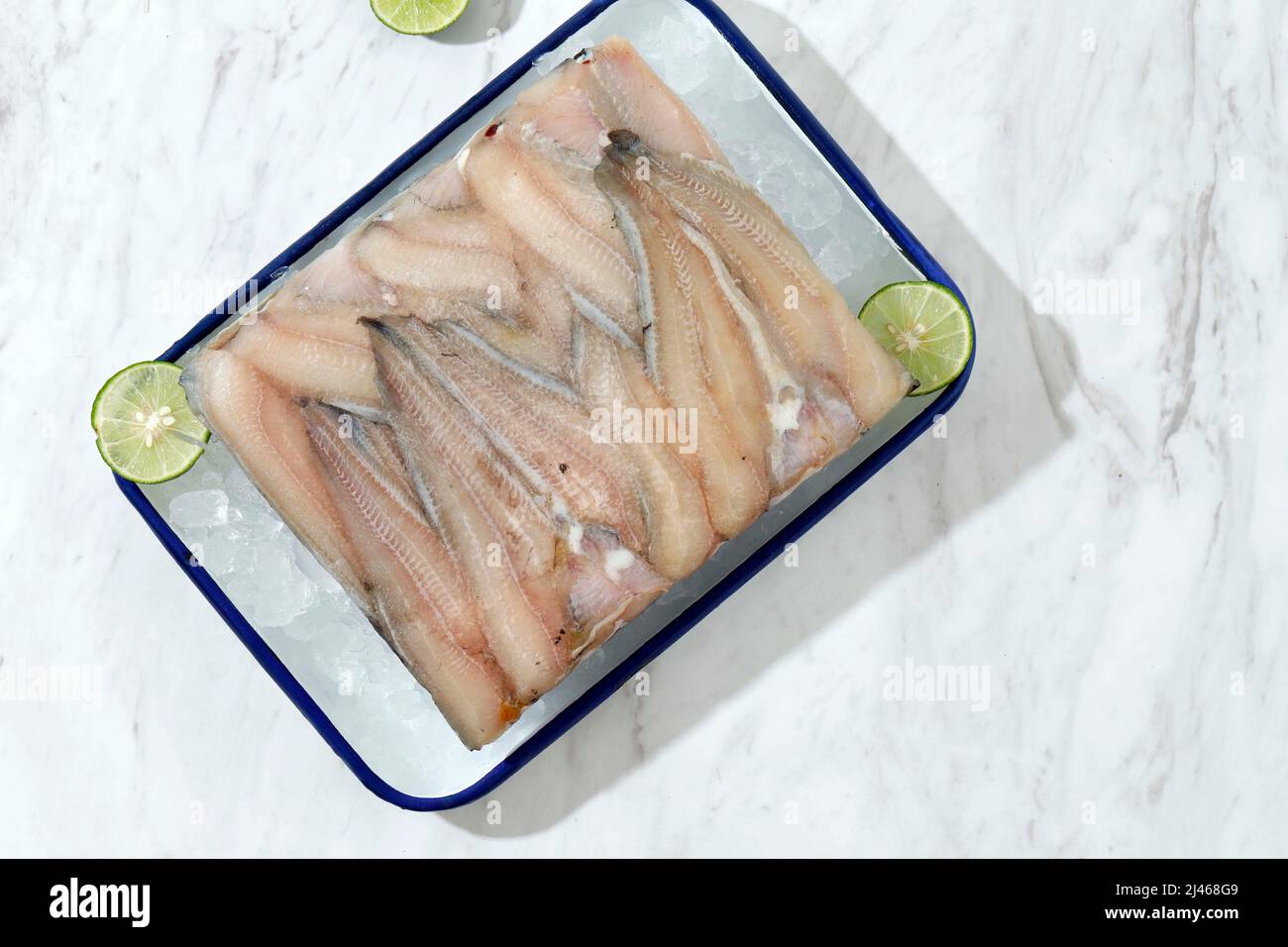 Raw Fillet of Frozen White Fish Catfish on a WHite Enamel Tray, White ...
