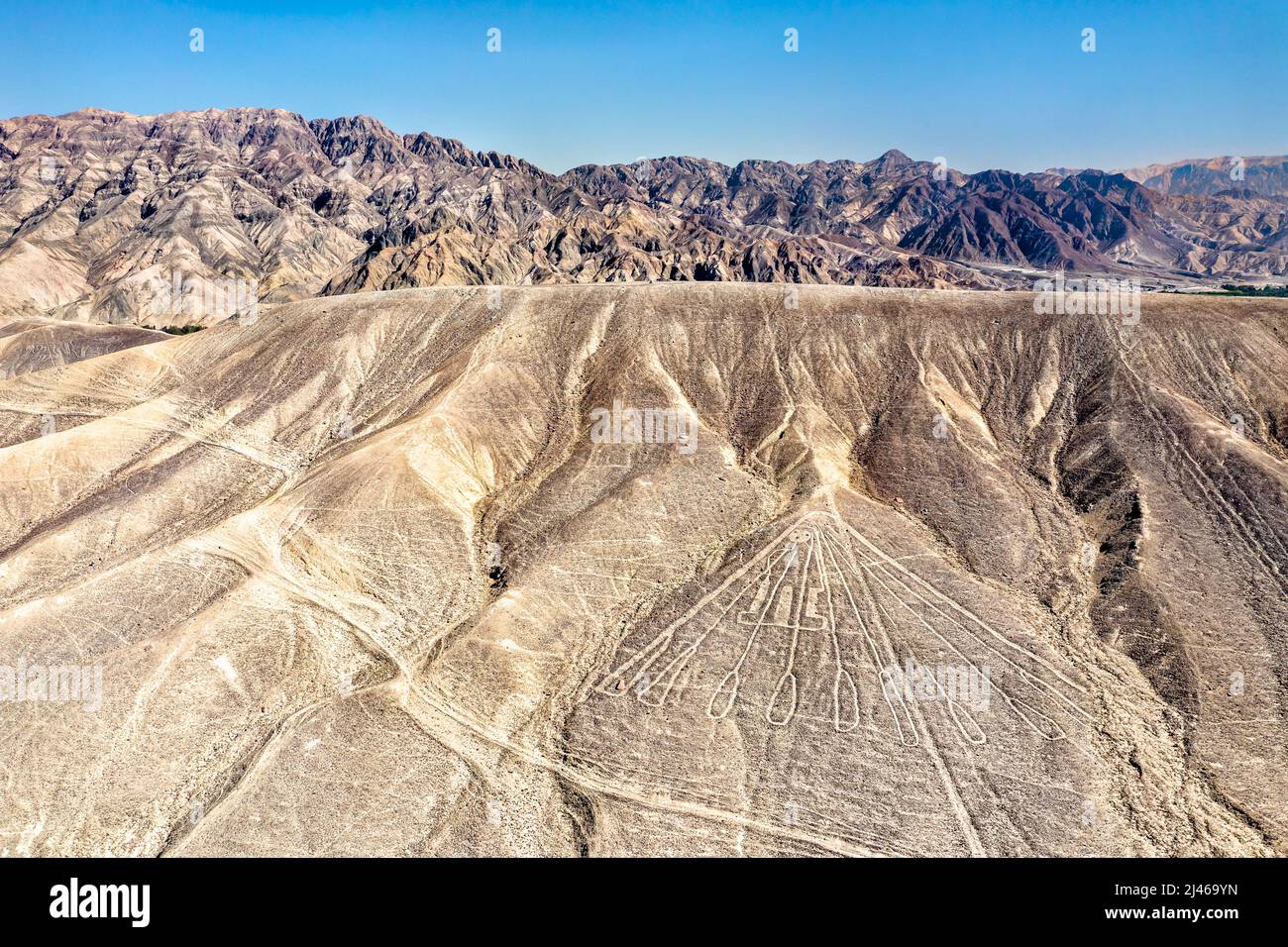 Aerial View of Palpa Geoglyphs. UNESCO world heritage in Peru Stock ...