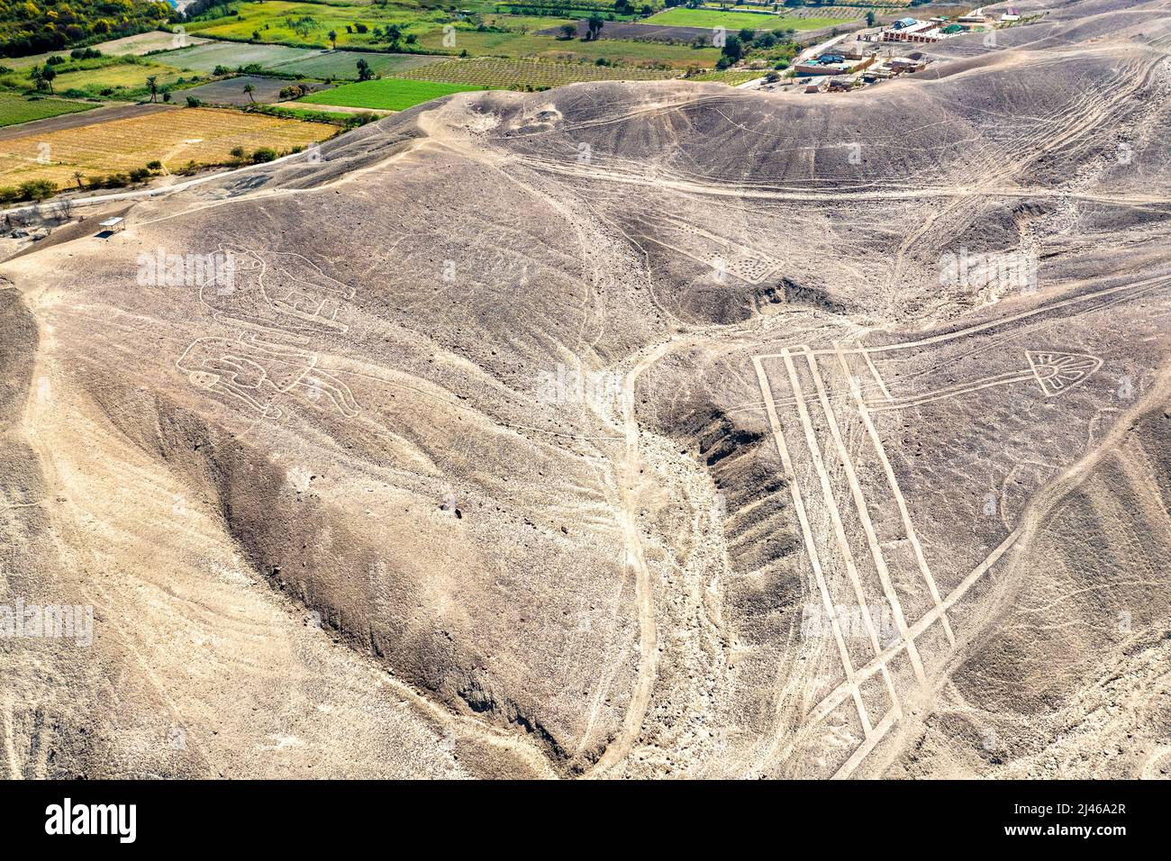 Lines and Geoglyphs of Palpa. UNESCO world heritage in Peru Stock Photo ...