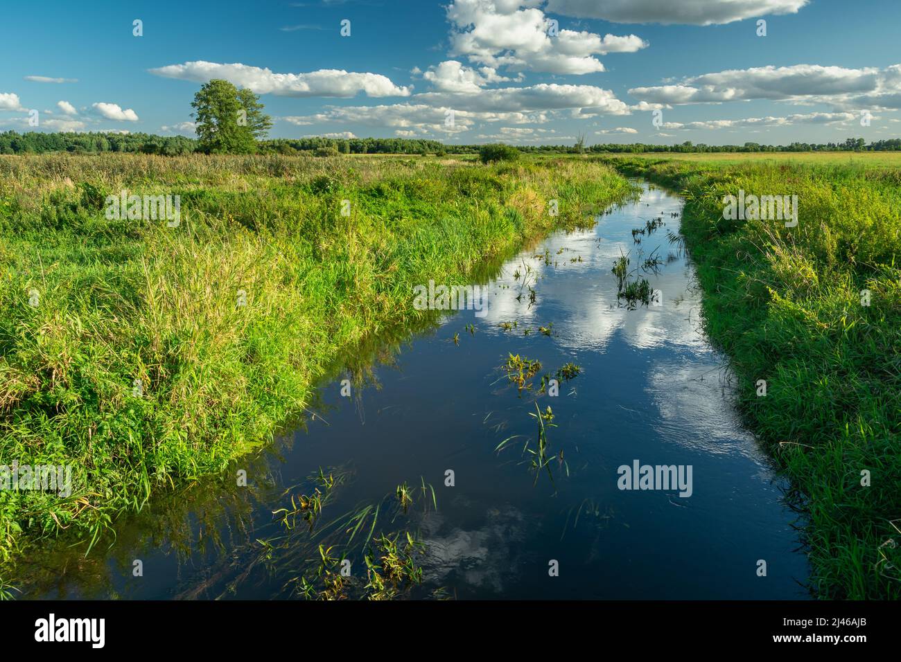 Summer small river hi-res stock photography and images - Alamy