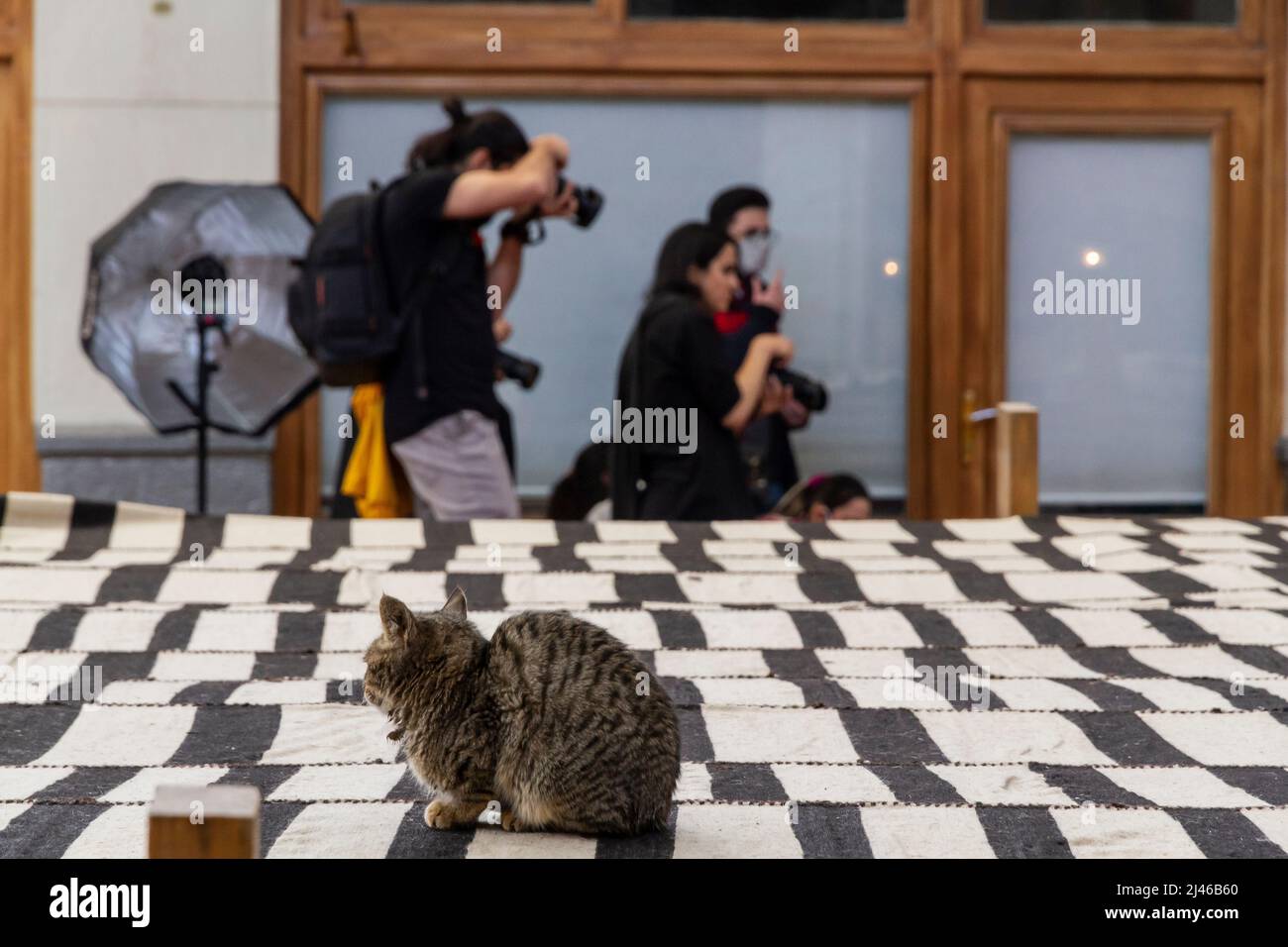 Carpet and model Stock Photo - Alamy
