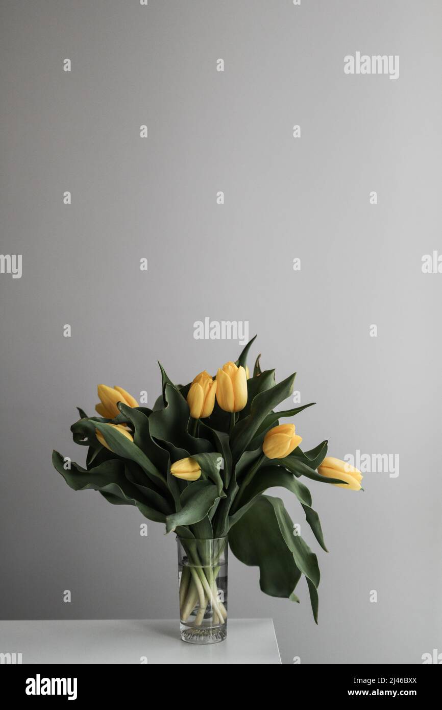 Beautiful yellow tulips in glass vase at home. Colourful spring flowers ...