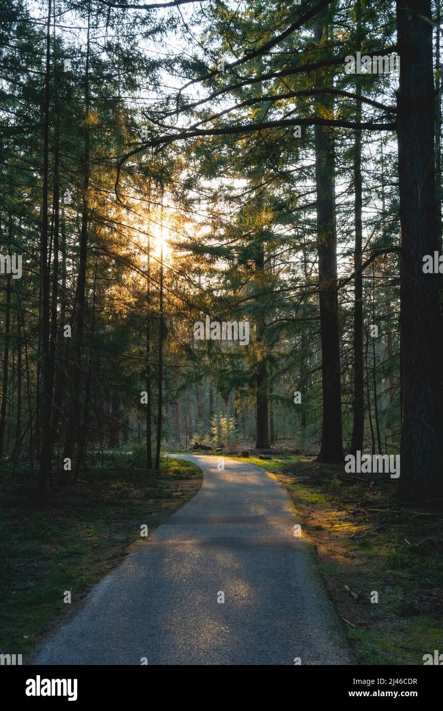 Evening sunrays hi-res stock photography and images - Alamy