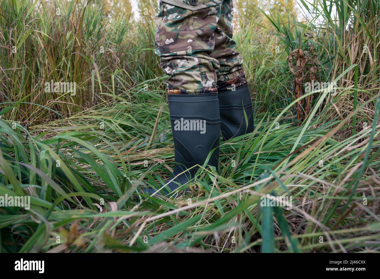 Marsh swamp soldier hi-res stock photography and images - Alamy