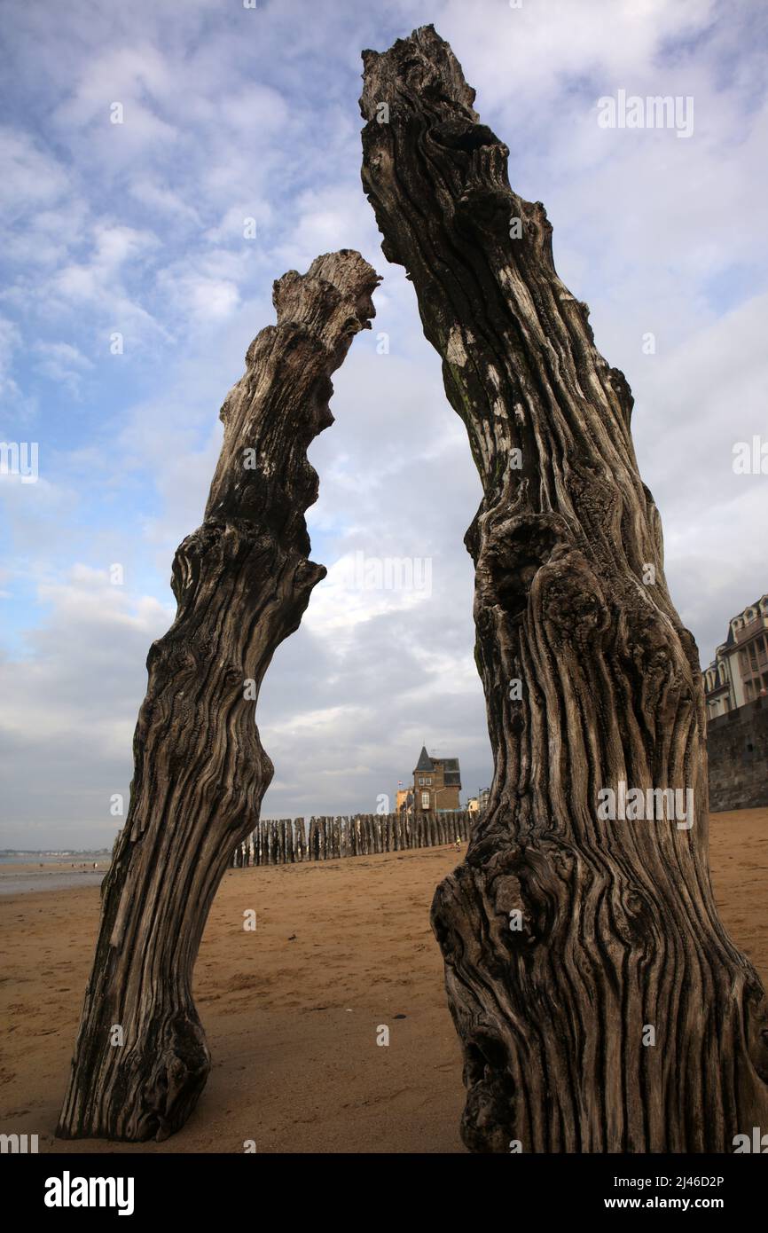 Wooden poles - Beach protection - Saint Malo - Ile-et-Vilaine ...